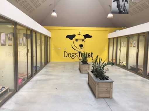 Dog Trust & Kent Greyhound Rescue Donations – The Sausage Man